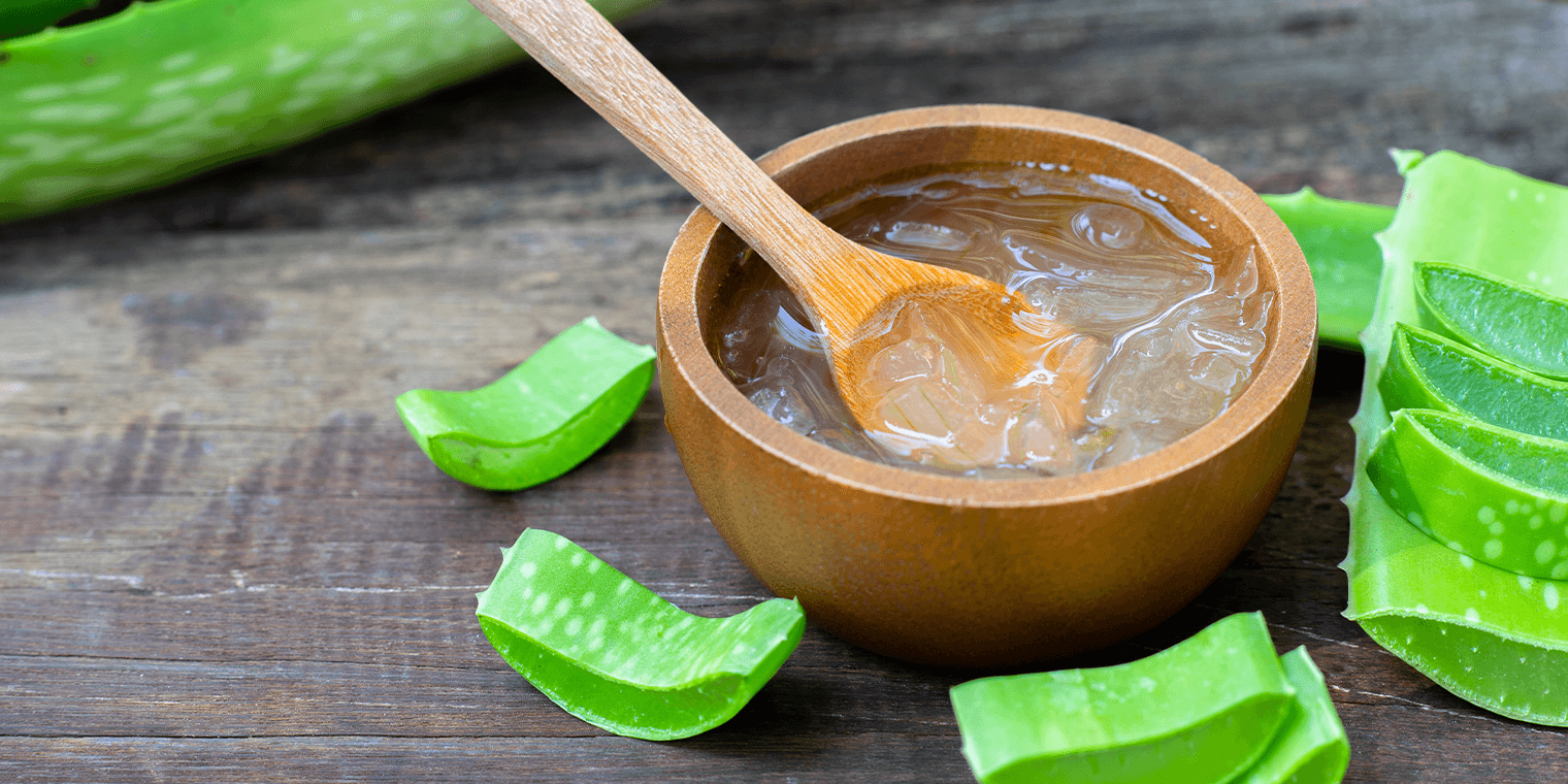 Cooking with Aloe Vera: 3 Healthy Recipes | Living Color Garden Center