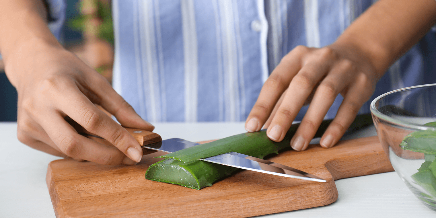 Cooking with Aloe Vera: 3 Healthy Recipes | Living Color Garden Center