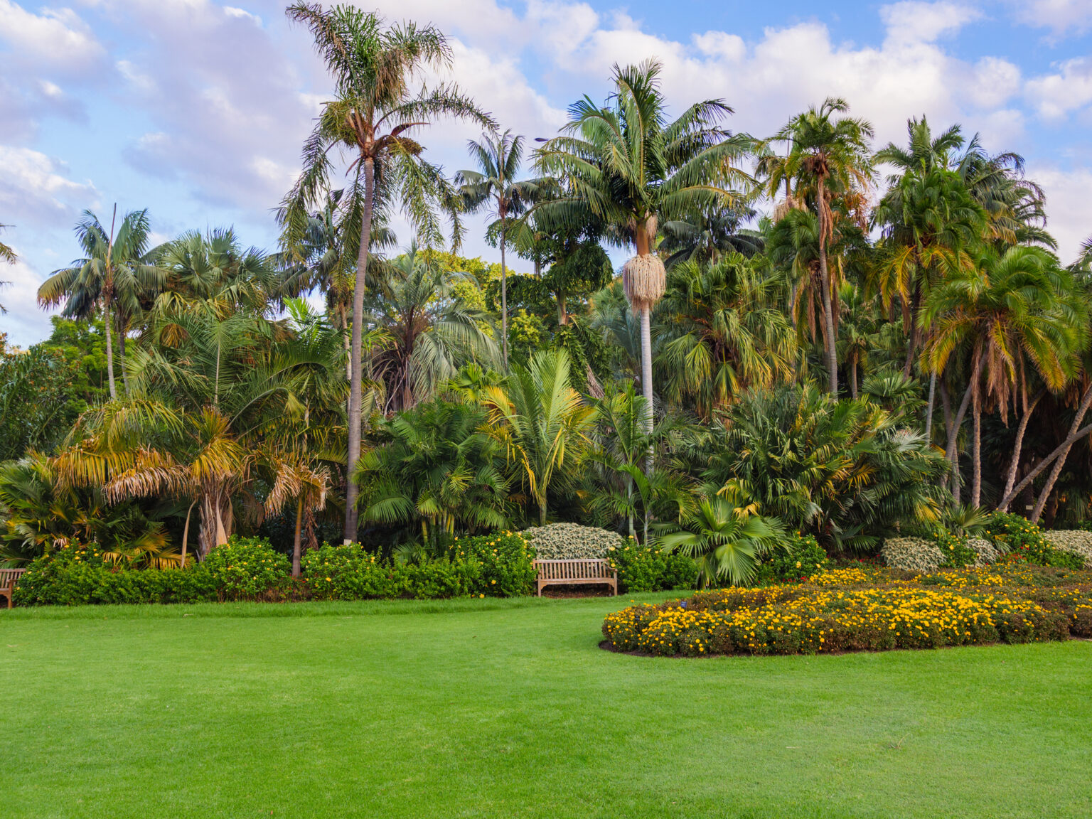 Unlocking Growth: How and When to Fertilize a Lawn in Spring for Best ...